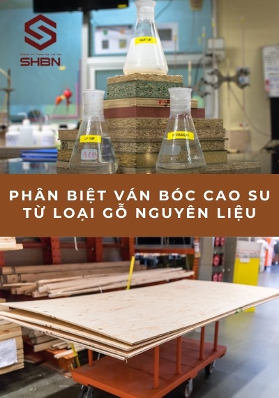 Phân biệt ván bóc cao su và cách chọn mua ván ép chất lượng
